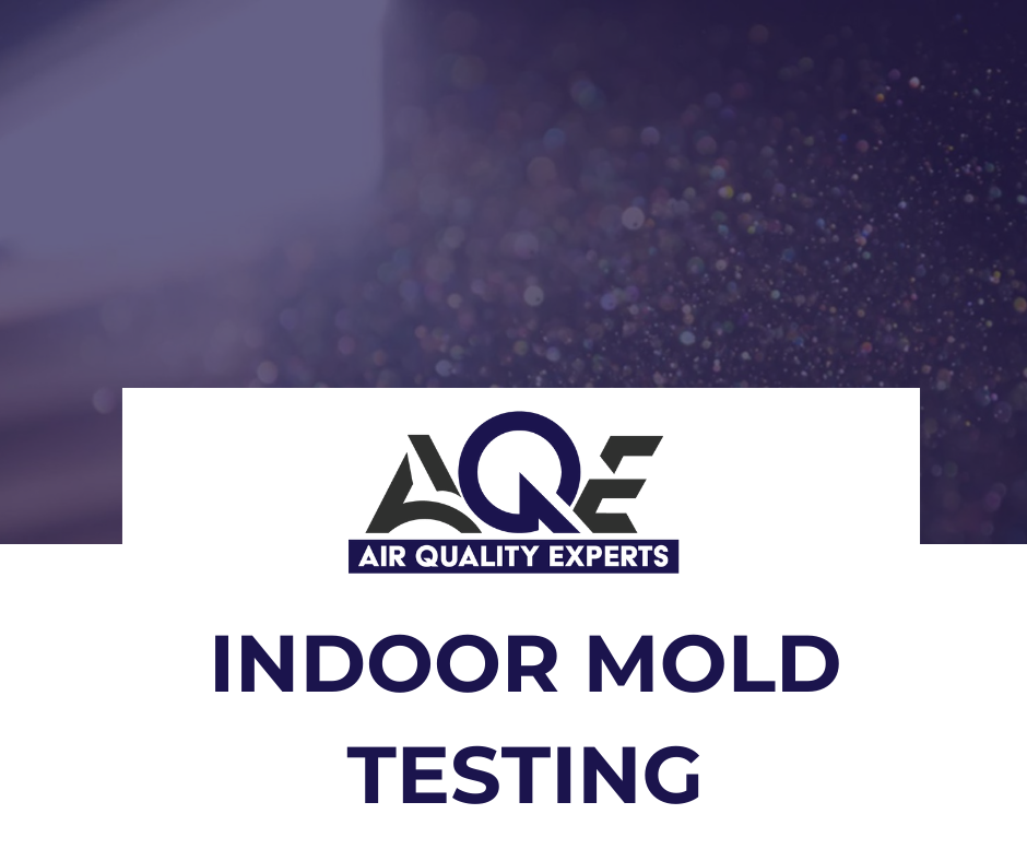 Indoor Mold Testing Experts in Savannah & The Low Country