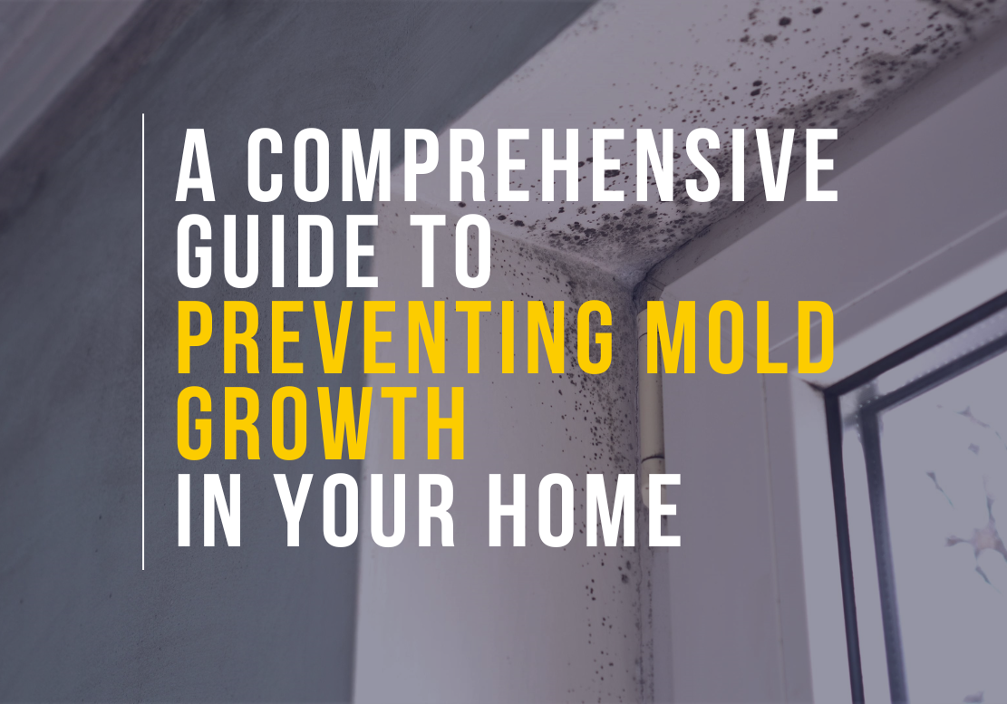 A Comprehensive Guide to Preventing Mold Growth in Your Home - Air ...